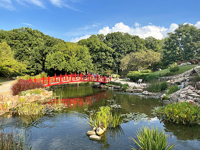 Pond goals! This serene spot is serving tranquility realness with a side of 'wish you were here'. Photo credit: Jeff Turner