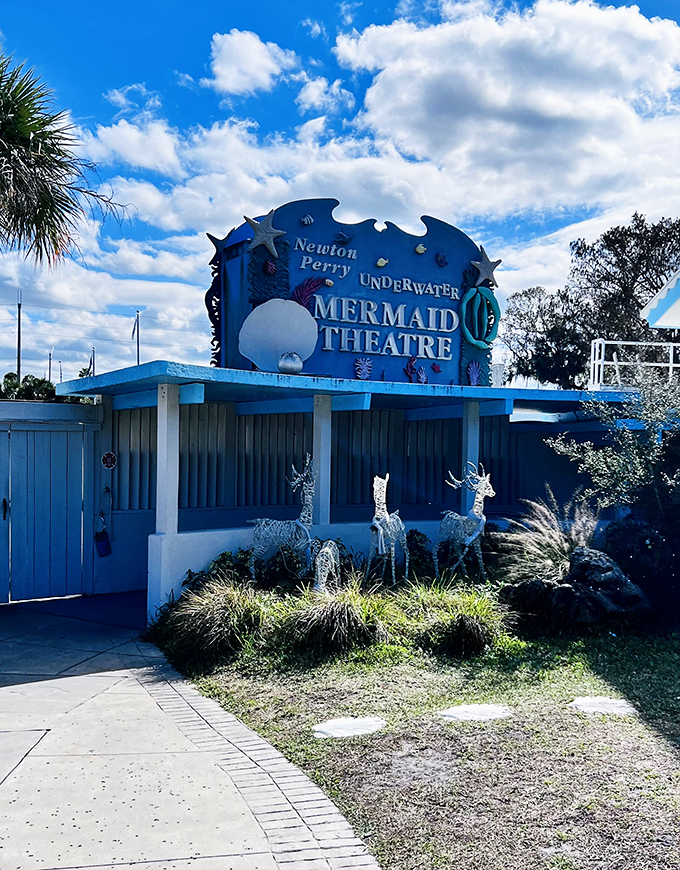 Fins and grins await! Embrace your inner sea siren with a treasure trove of mermaid must-haves.