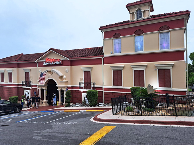Einstein made of toast? Check. Two-headed calf? Double check. Your weird cousin's attic has nothing on this place!