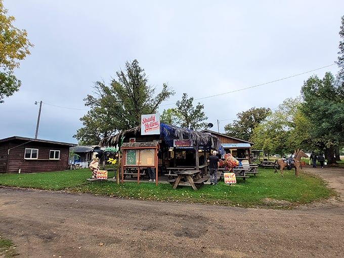 Where the wild things are... for sale! Shady Hollow turns bargain hunting into an outdoor adventure – watch out for vintage quicksand! Photo credit: Elizabeth Ann
