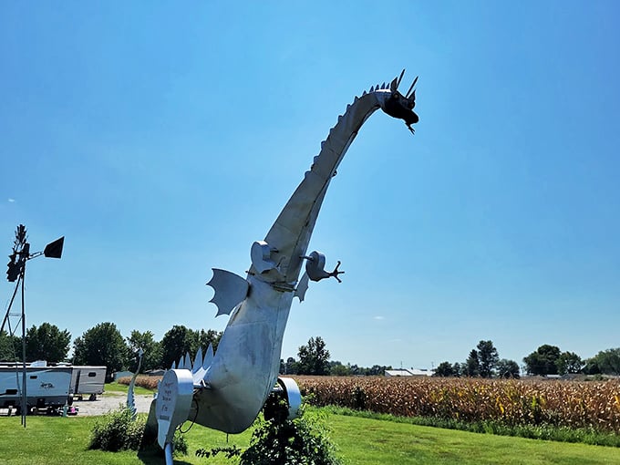 Dracarys on demand! This mechanical marvel in Vandalia is hotter than your aunt's spicy casserole at the family reunion.