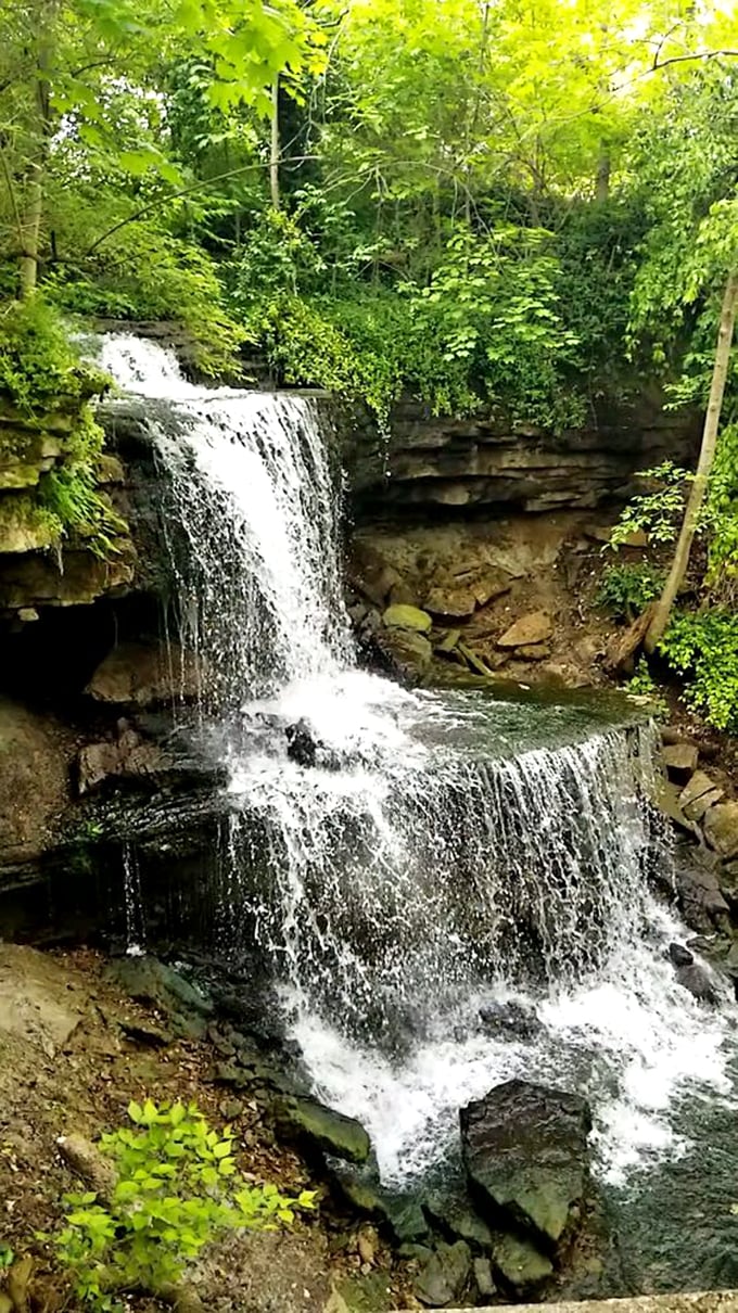 Old school cool meets new school pool. A timeless beauty that's been Insta-worthy since before Instagram was a twinkle in Zuckerberg's eye.