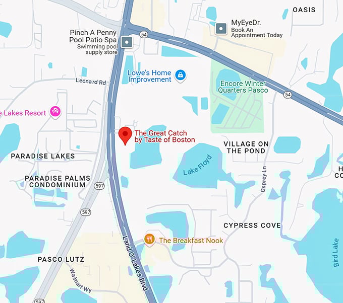 the great catch by taste of boston map