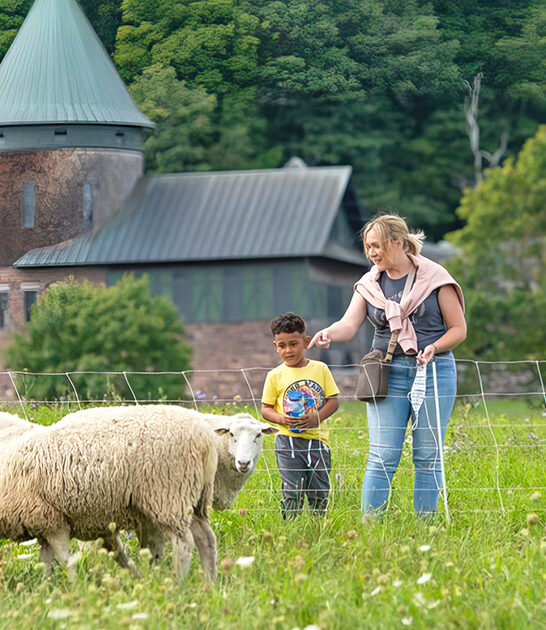 animal encounters vermont farms ftr