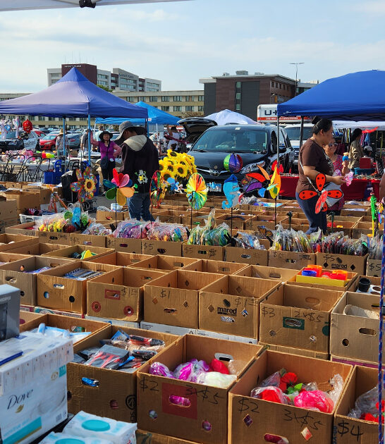antique stores illinois ftr