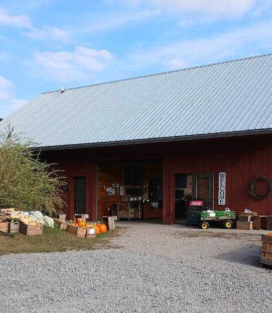 apple cider donuts vermont ftr