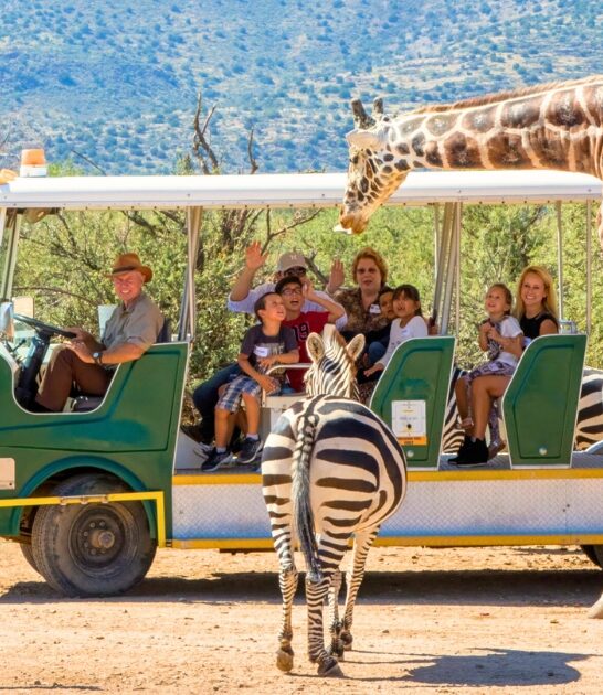 arizona wildlife park ftr