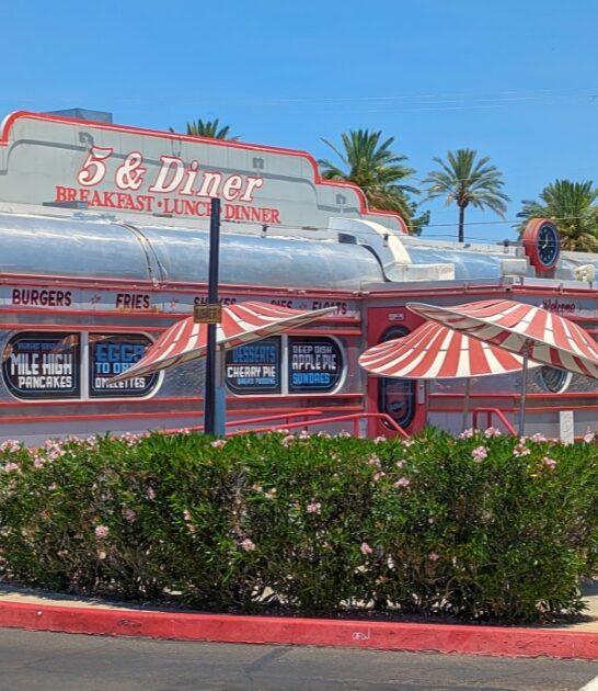 best fried pickles arizona ftr