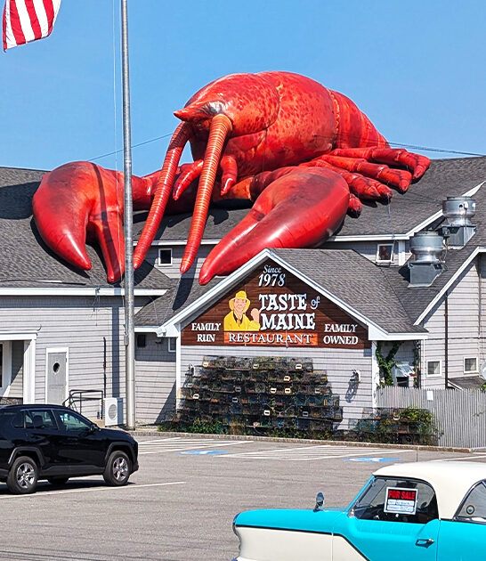best steaks maine FTR