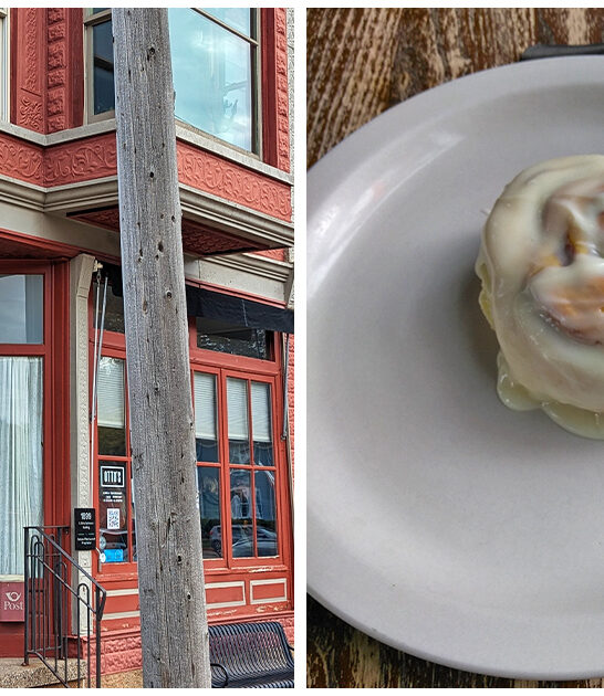 big cinnamon rolls illinois ftr