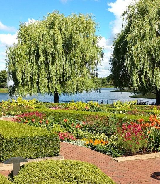 breathtaking illinois garden ftr