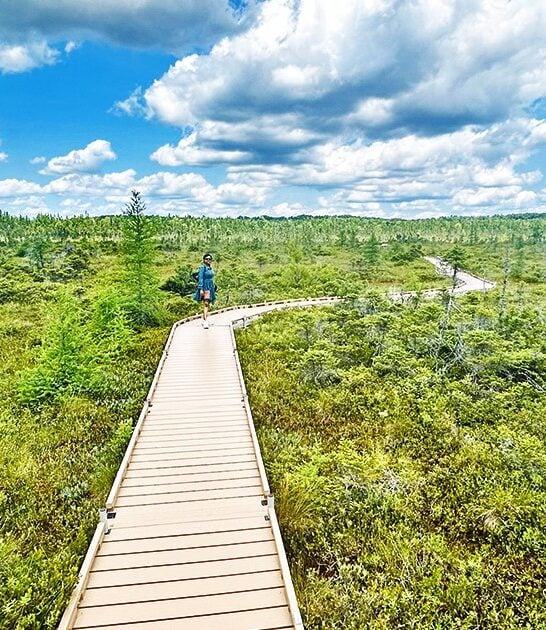 breathtaking natural wonders maine FTR