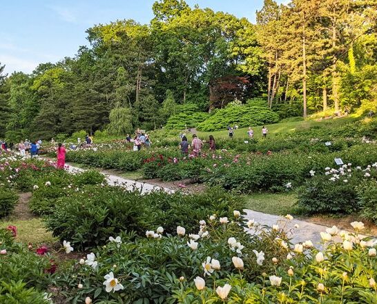 breathtaking road trip michigan ftr