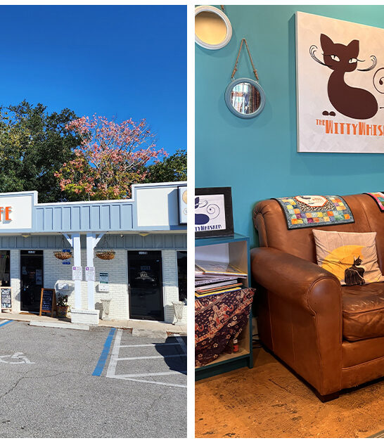 charming cat cafe florida FTR