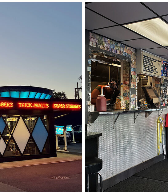 chicago-hotdog-joints-illinois ftr