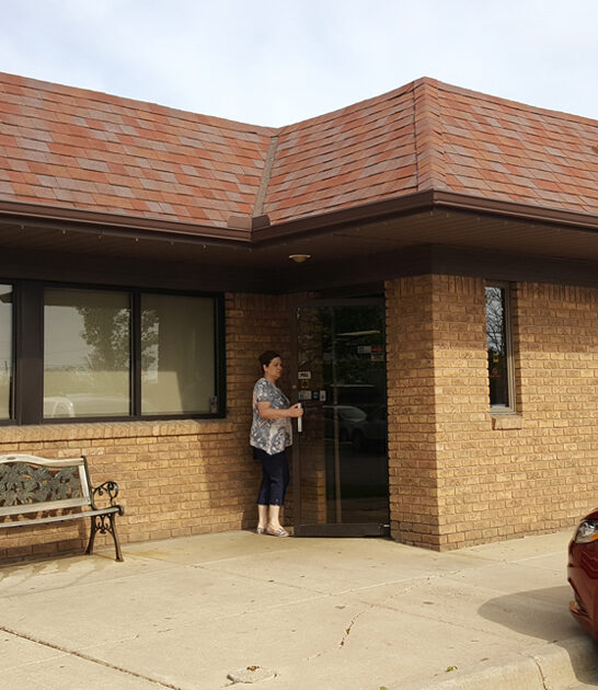chicken gyro michigan diner ftr