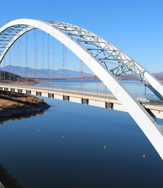 clearest lake arizona ftr