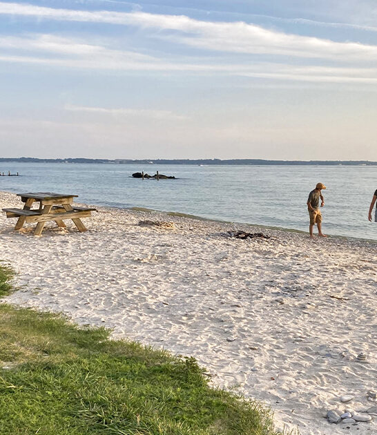 dog friendly beaches ohio ftr