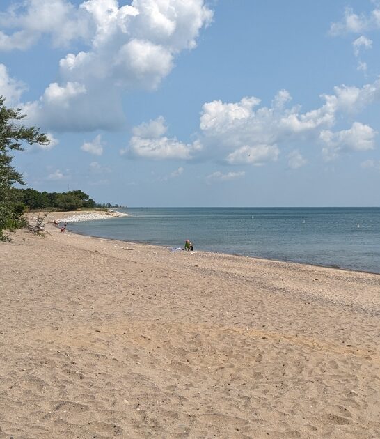 dreamy beach parks illinois ftr