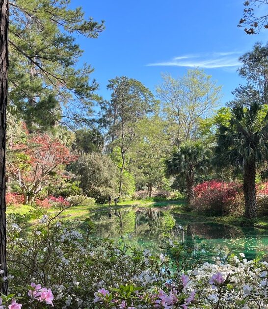 dreamy florida state park ftr