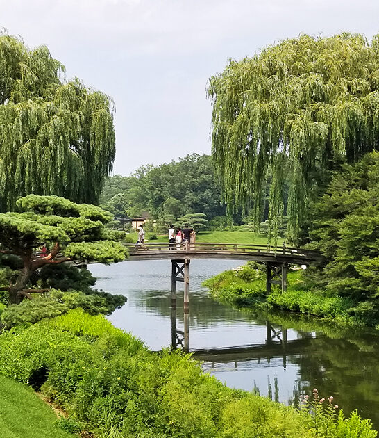 dreamy garden illinois ftr