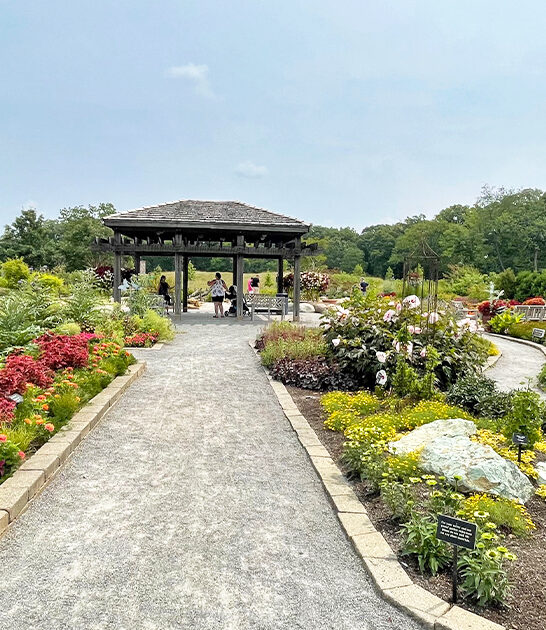 dreamy spots illinois ftr