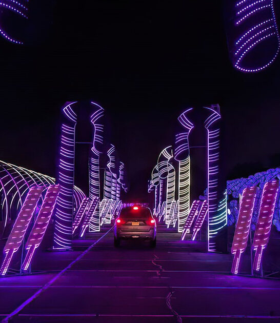 drive thru lights arizona ftr