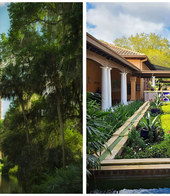 enchanting-fairytale-garden-florida FTR