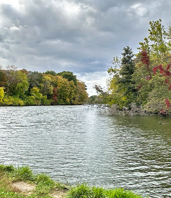 enchanting nature walks illinois ftr
