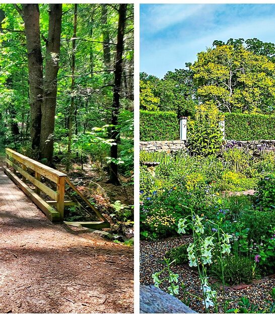 enchanting state park maine FTR