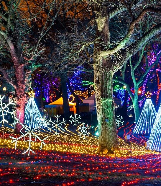 enchanting zoo illinois ftr