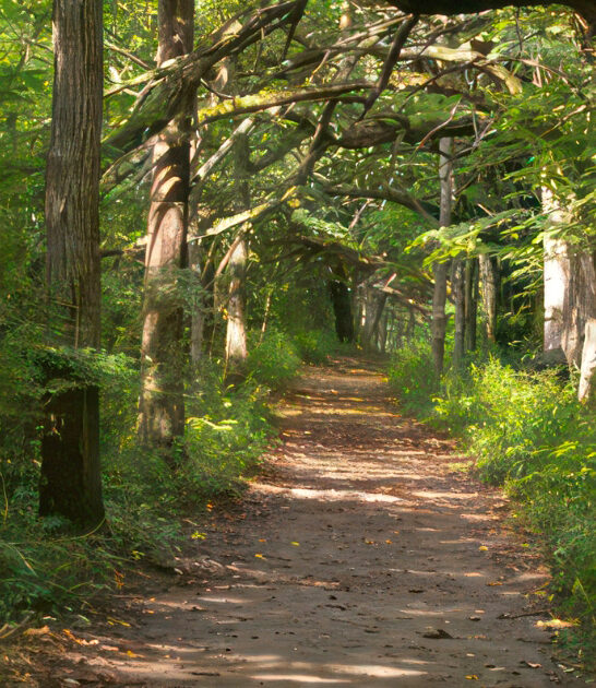 fairy-tale-attractions-ohio ftr