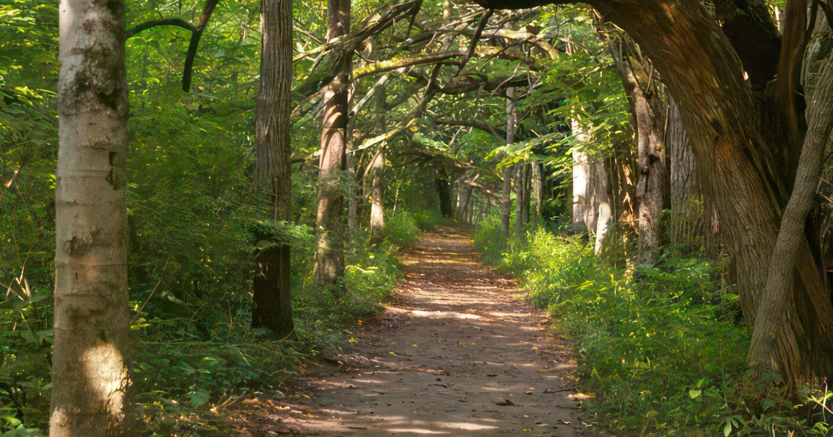 15 Attractions In Ohio That Look Like They're Straight Out Of A Fairy Tale