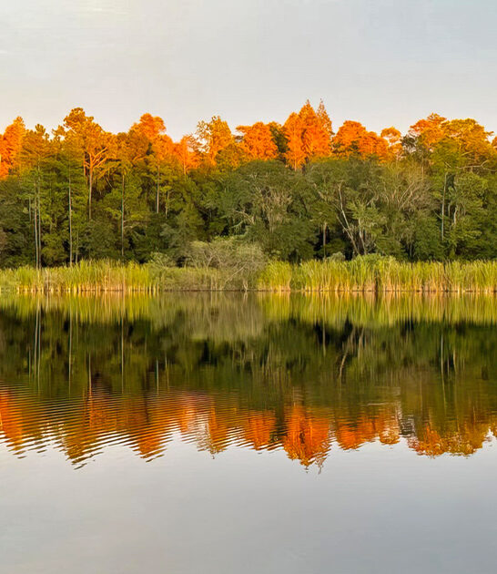 florida middle nowhere park ftr