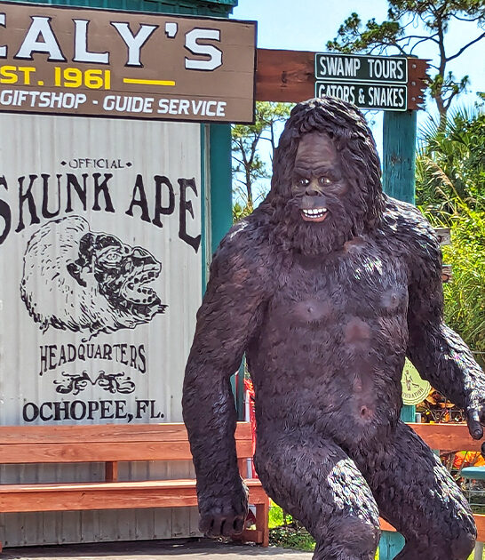 florida stores coolest stuff ftr