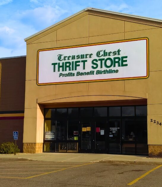 fun thrift stores minnesota ftr
