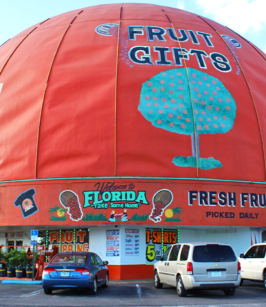 funky gift shops florida ftr