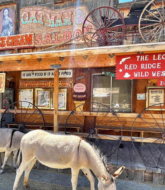 funky store arizona ftr