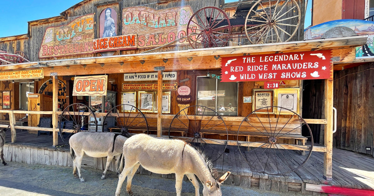 This Funky General Store In Arizona Is Too Weird For Words