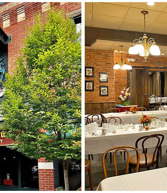 german potato salad ohio ftr