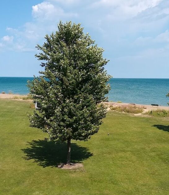 gorgeous lakefront escapes illinois ftr