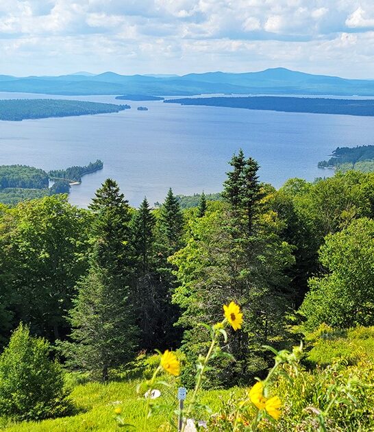 hidden gem maine FTR