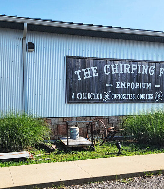 hidden illinois antique mall ftr