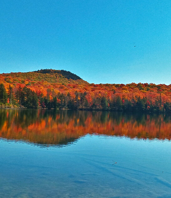 hidden park vermont ftr