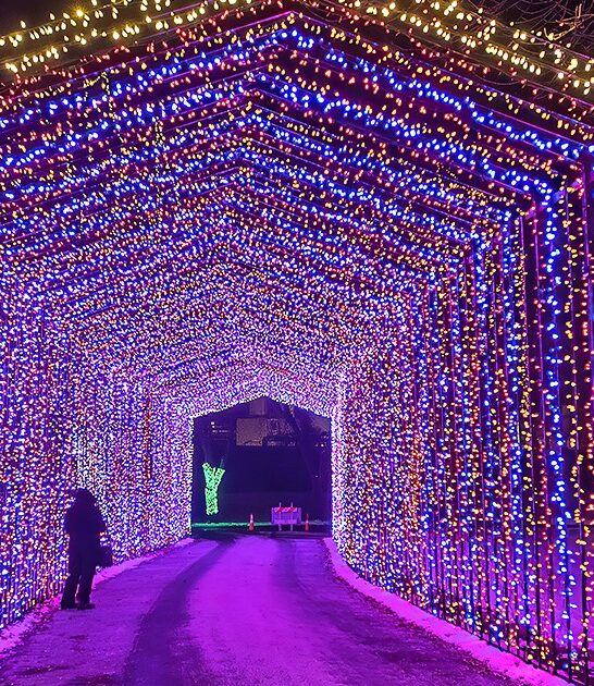 holiday lights display minnesota ftr