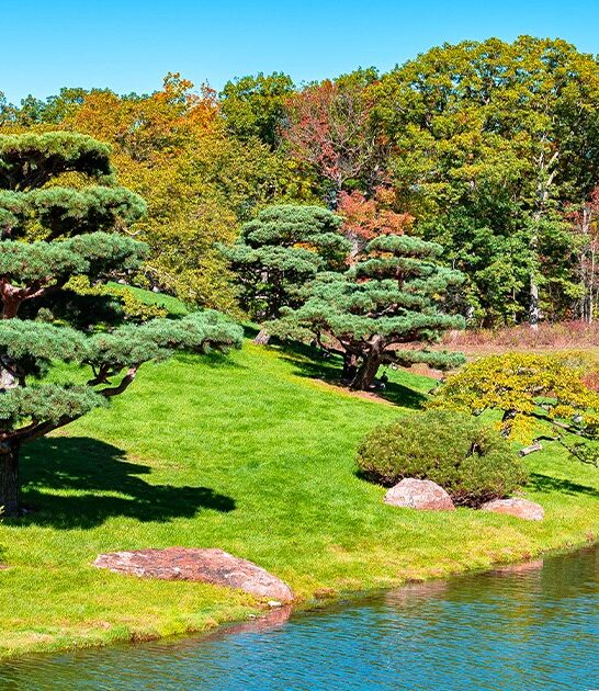 illinois botanical garden ftr