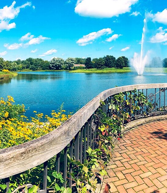 illinois enchanting nature walks ftr