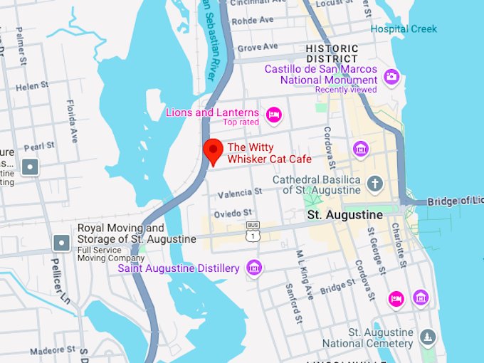 16. The Witty Whisker Cat Cafe map 