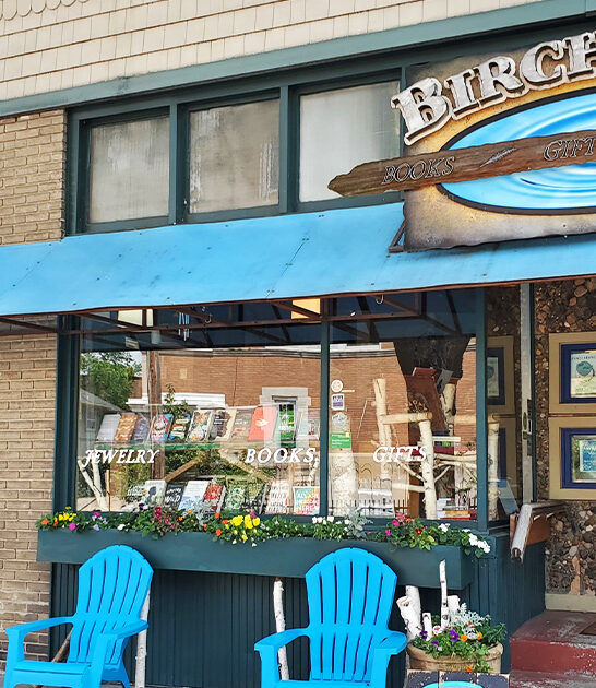 indigenous arts minnesota bookstore ftr