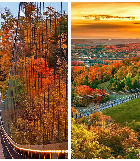 jaw dropping bridge michigan FTR